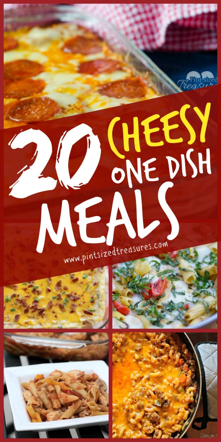 20 One Dish Meals Pint sized Treasures